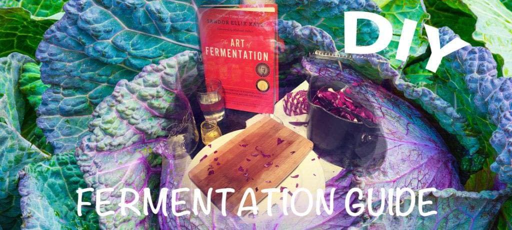 DIY Fermentation Guide - MelanieAvalon.com