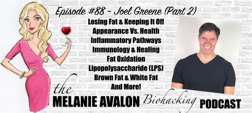 Joel Greene Episode Part 2 Artwork - MelanieAvalon.com