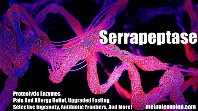 Serrapeptase: Proteolytic Enzymes, Pain And Allergy Relief, Upgraded ...