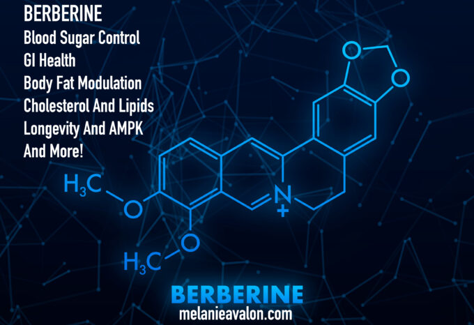 Berberine concept chemical formula icon label, text font vector ...